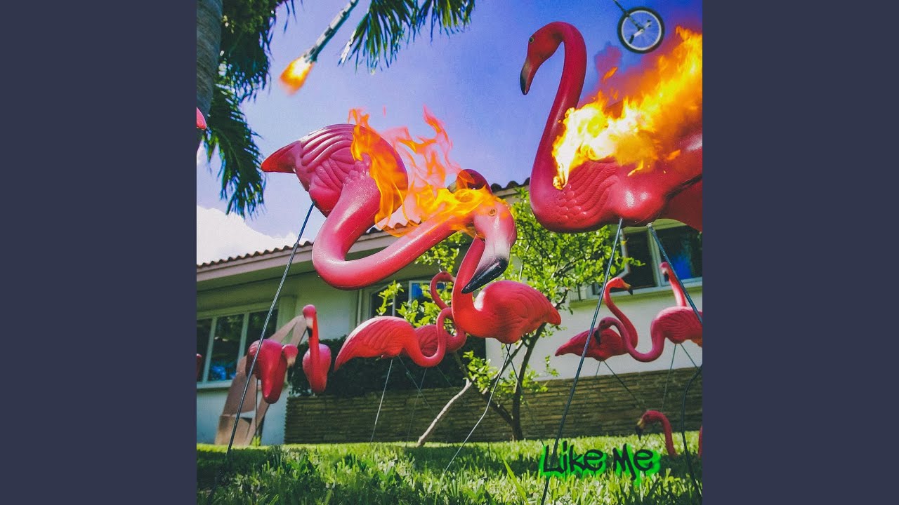 Like Me - YouTube Music