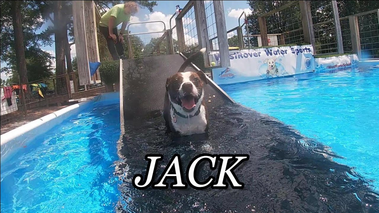 Jack Swim Club - YouTube