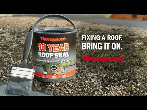 Thompson's 10 Year Roof Seal