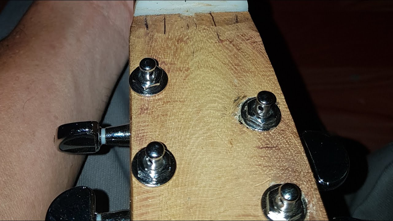 5 STRINGS MUSICAL INSTRUMENT UPDATE - YouTube