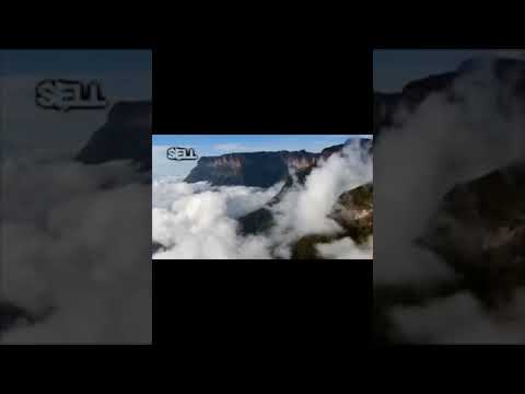 Muhteşem Doğa / Tuncel Kurtiz