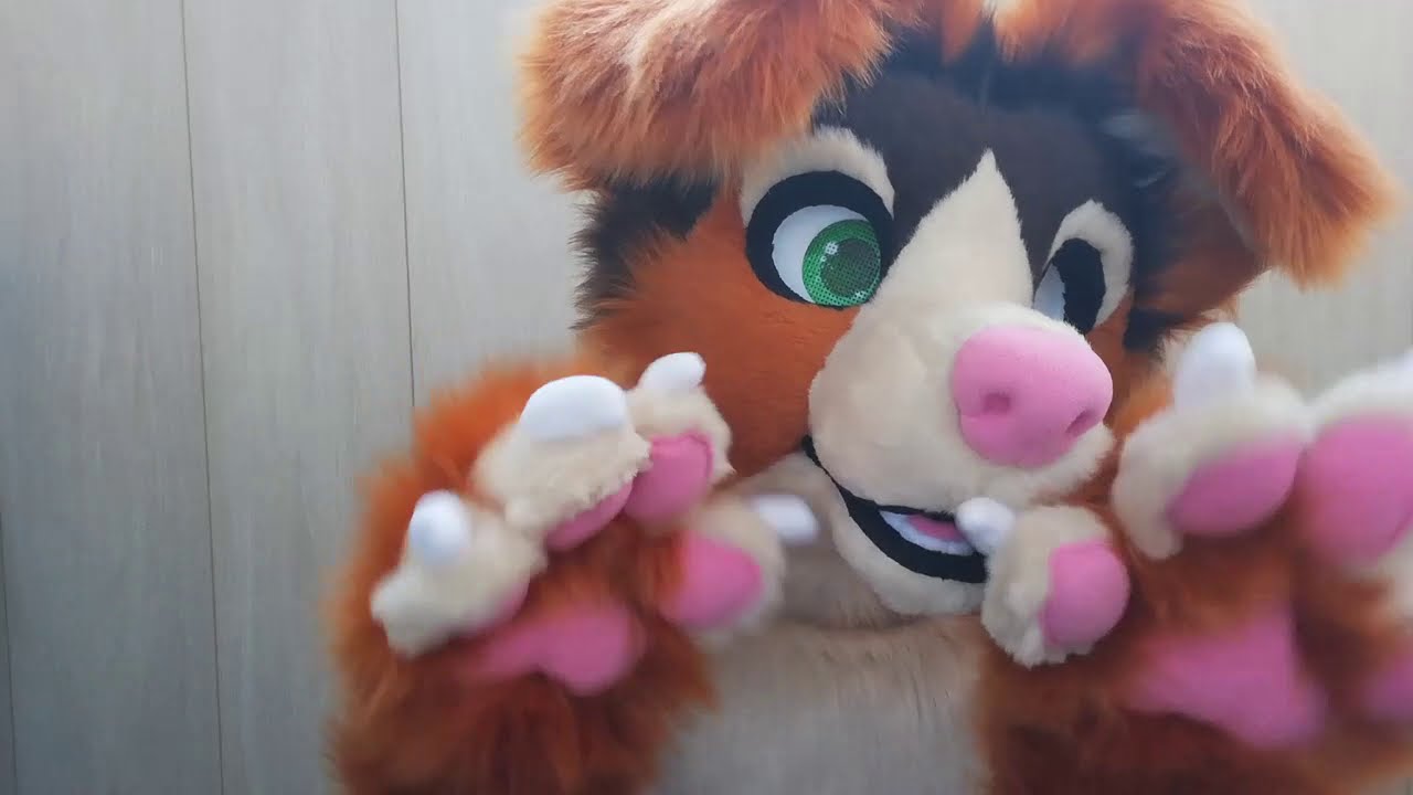Australian Shepherd Fursuit Partial - YouTube