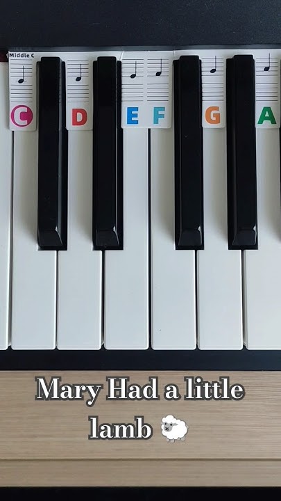 Mary Had A Little Lamb | EASY Piano Tutorial - YouTube