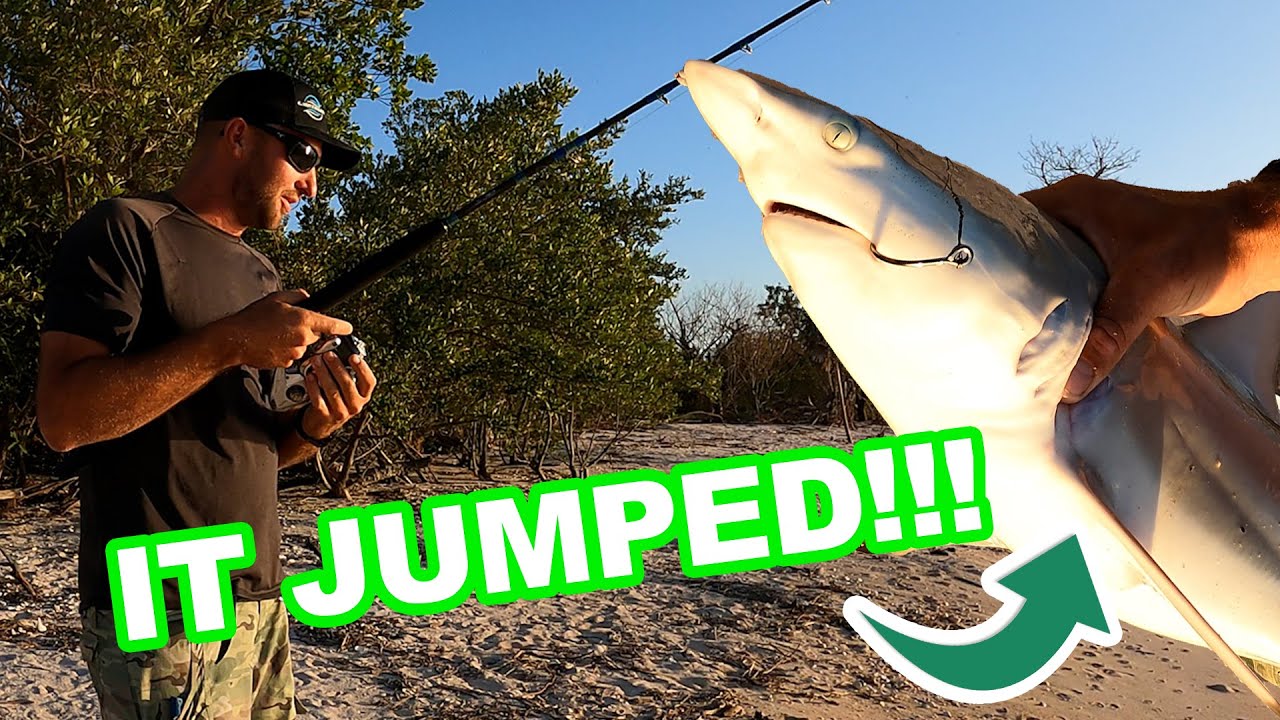 Sharks JUMPING! Camping DEEP in the Florida Everglades - YouTube