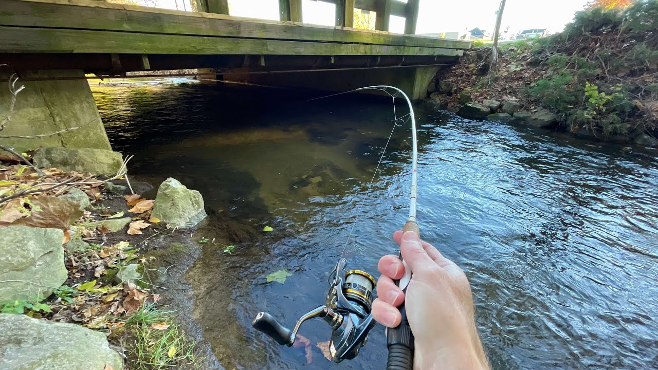 Small Creek TROUT Fishing with Random Lures?! - YouTube