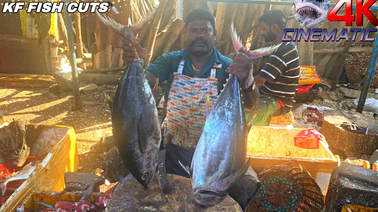 BULLET SPEED KASIMEDU SELVAM🔪25 KG YELLOW FIN TUNA FISH CUTTING🔪KF FISH ...