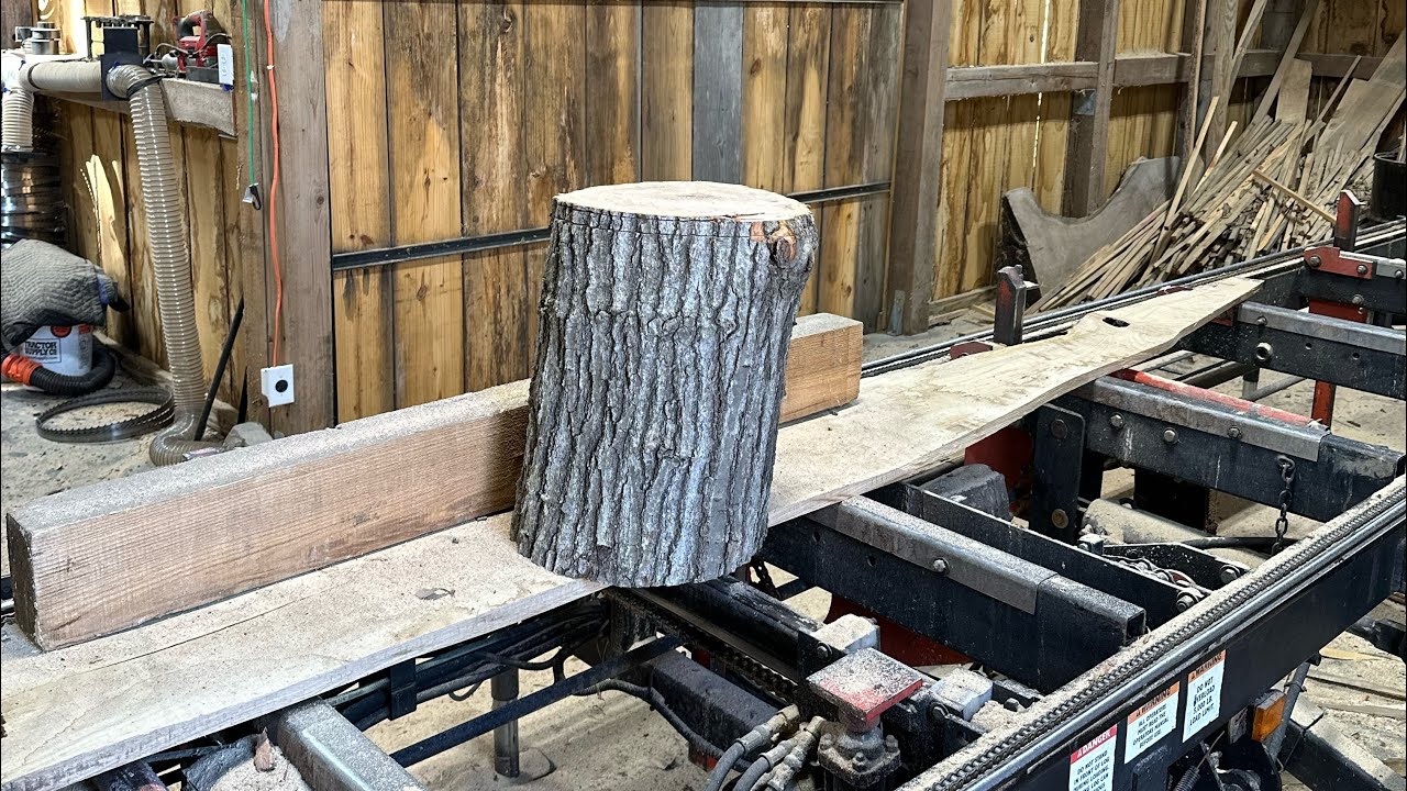 Cutting oak stumps for display stands - YouTube