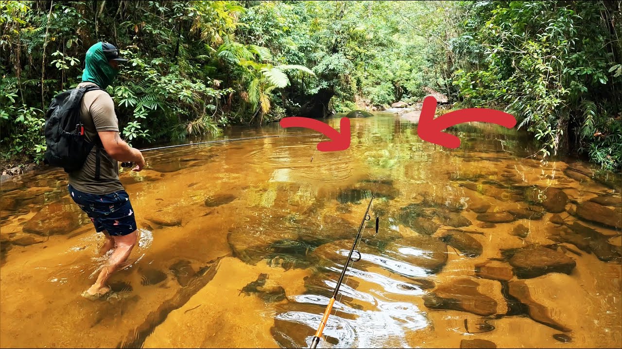 WHAT did we FIND??? fishing this jungle creek--- jungle perch fishing ...