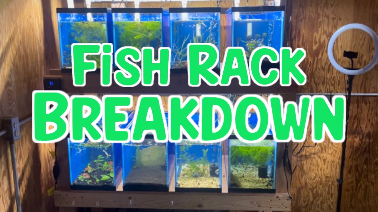 8 - 10 Gallon Fish Tank Rack System Breakdown - YouTube