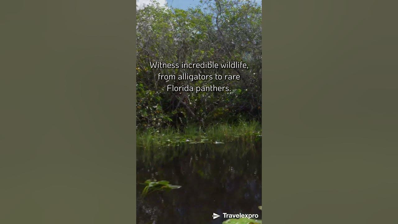 Wonder #84: The Everglades, USA | Wonder of the World Series by ...