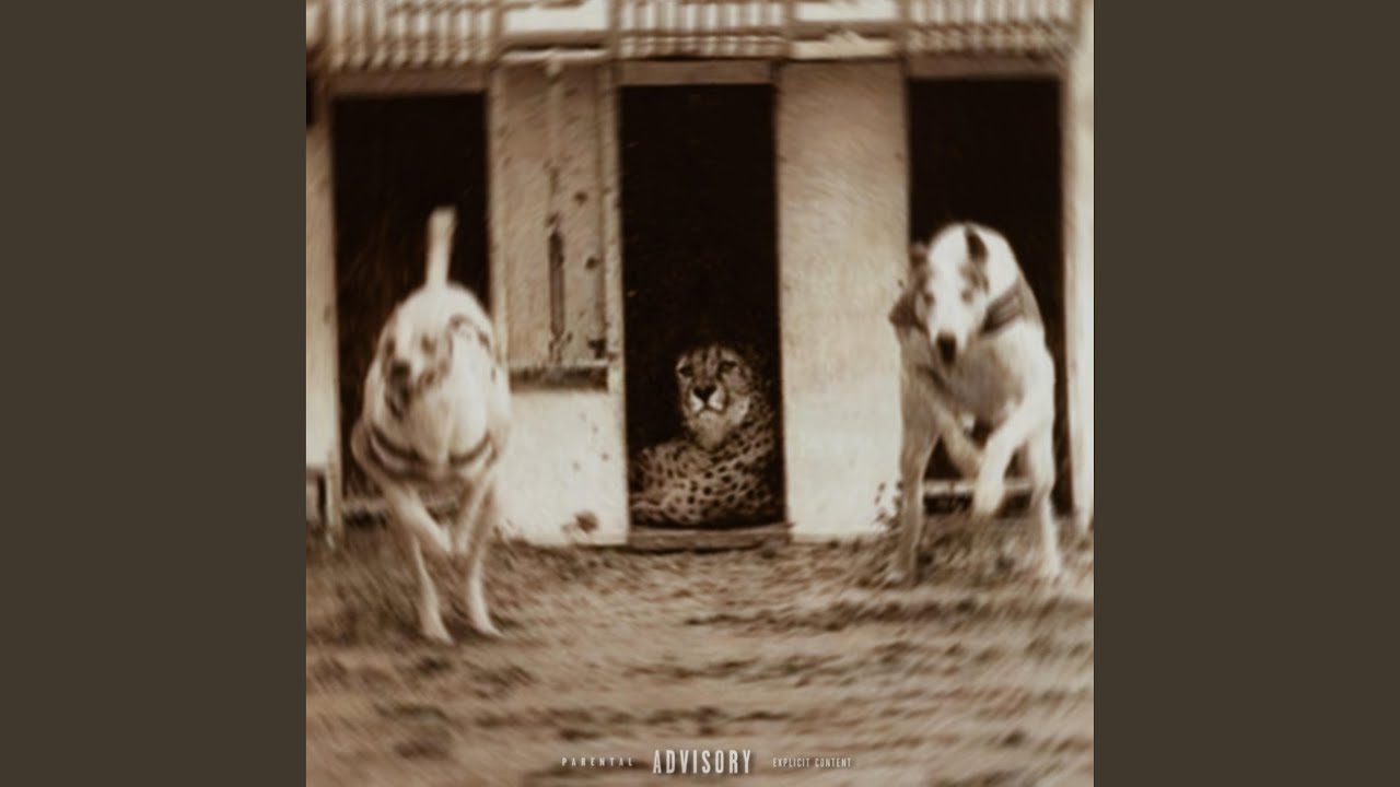 Back Like I Never Left - YouTube