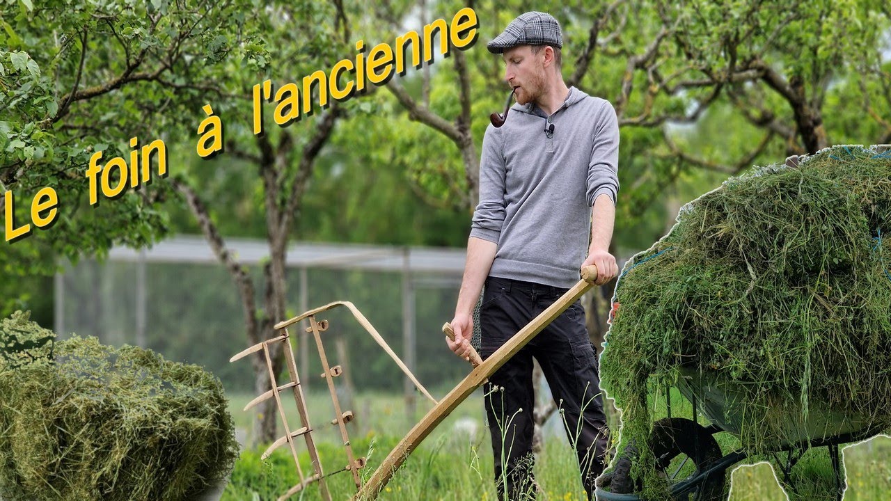 On ESSAYE de faire du FOIN à l'ANCIENNE - YouTube