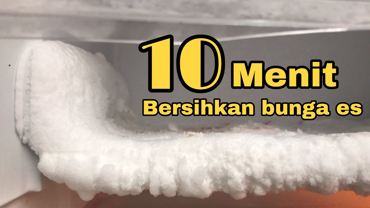 CARA MEMBERSIHKAN BUNGA ES FREEZER KULKAS 1 PINTU DENGAN CEPAT DAN AMAN ...