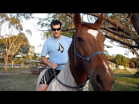 Real Life - HORSE RIDING! - YouTube