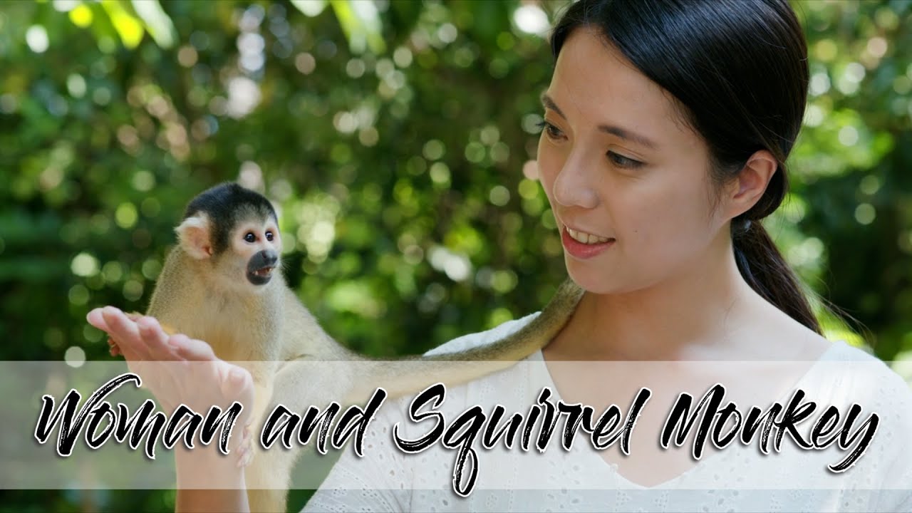 Woman and squirrel monkey - YouTube