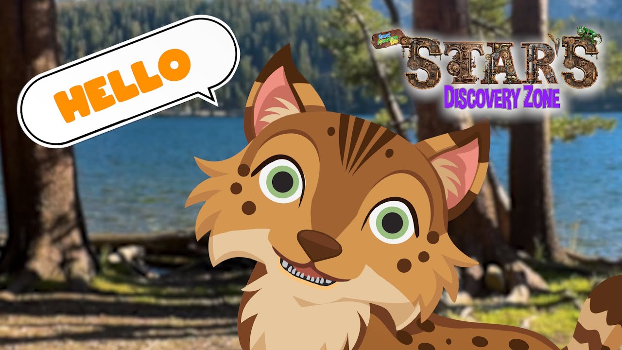 Learn to say Hello with Bobby the Bobcat! 🐾 | #Greetings #Kindness # ...