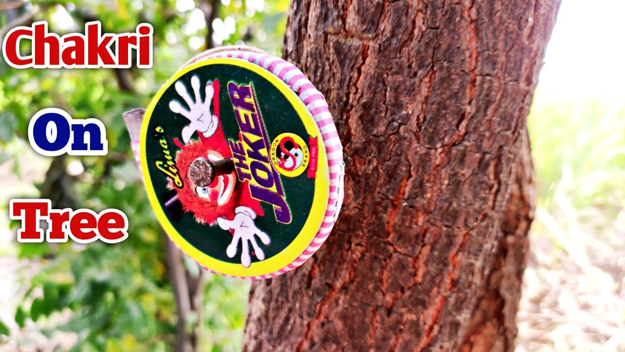 Chakri On Tree || Types of Chakri || Different types of crackers ...