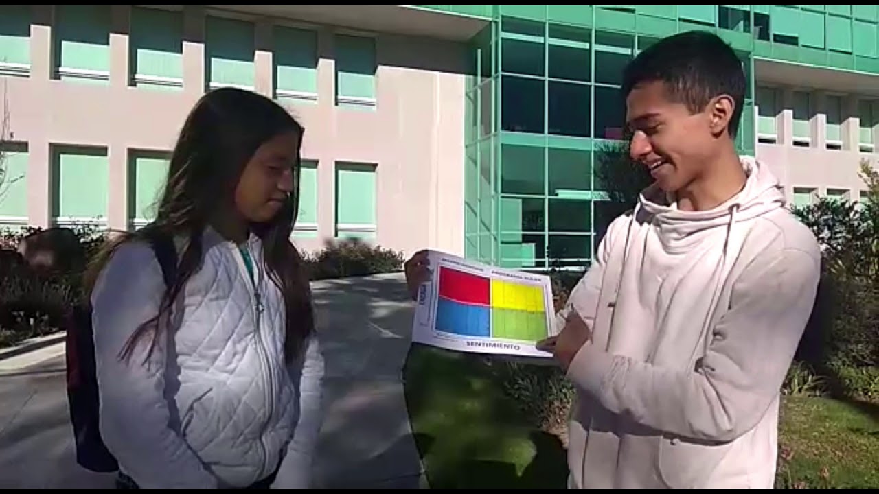 Entrevistas Medidor Emocional Programa RULER - YouTube