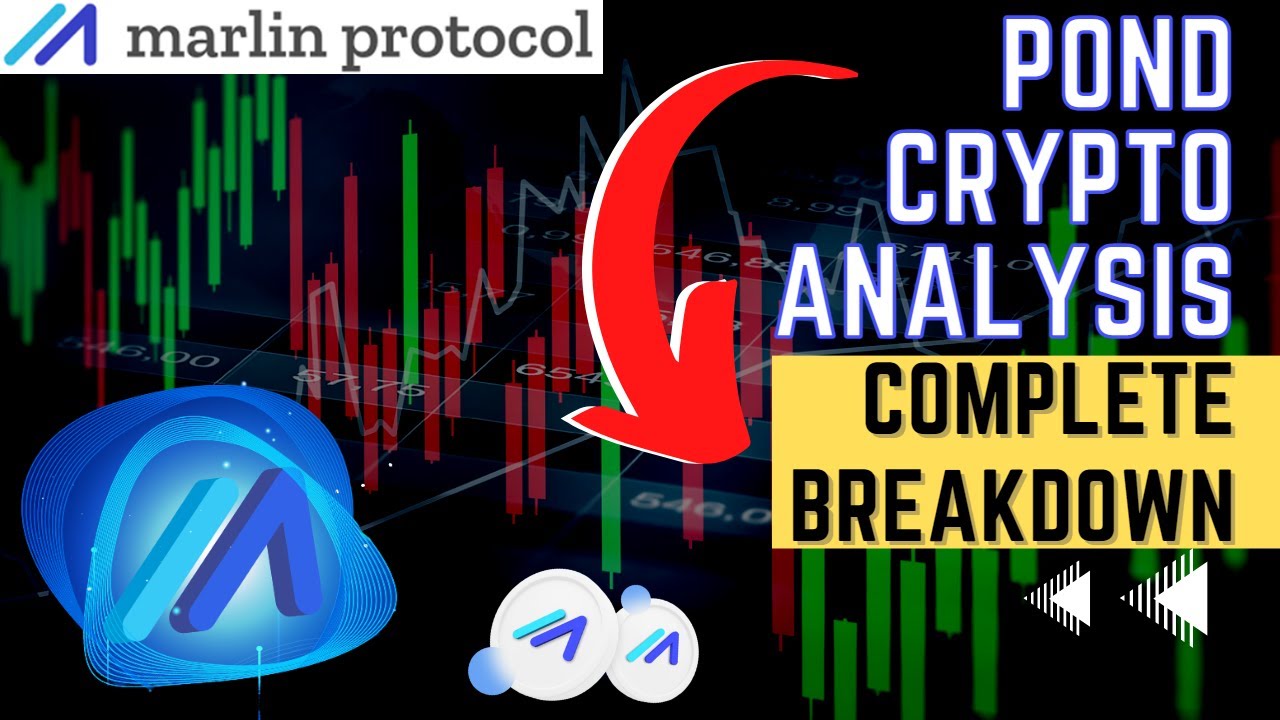 Marlin Protocol (POND) Crypto Coin - 🚨SIGNALS FIRING🚨 - YouTube