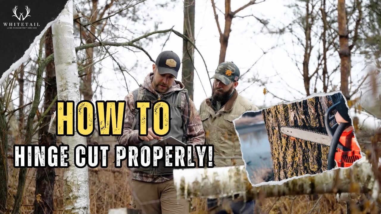 How To Hinge Cut PROPERLY! USE THESE STEPS! - YouTube