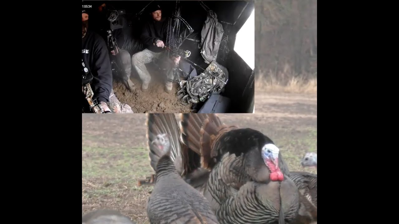 Turkey with a Magnus Guillotine! Episode 2 - YouTube