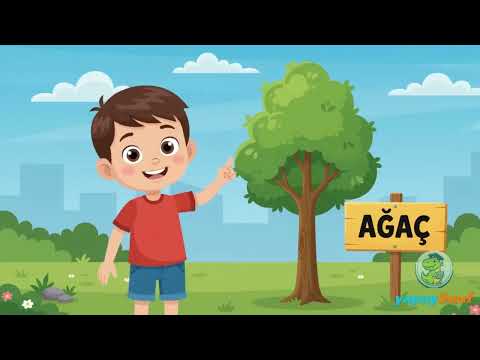 Tekil Çoğul ve Topluluk İsimleri - İlkokul Türkçe Konu Anlatımı - Yapaysinif