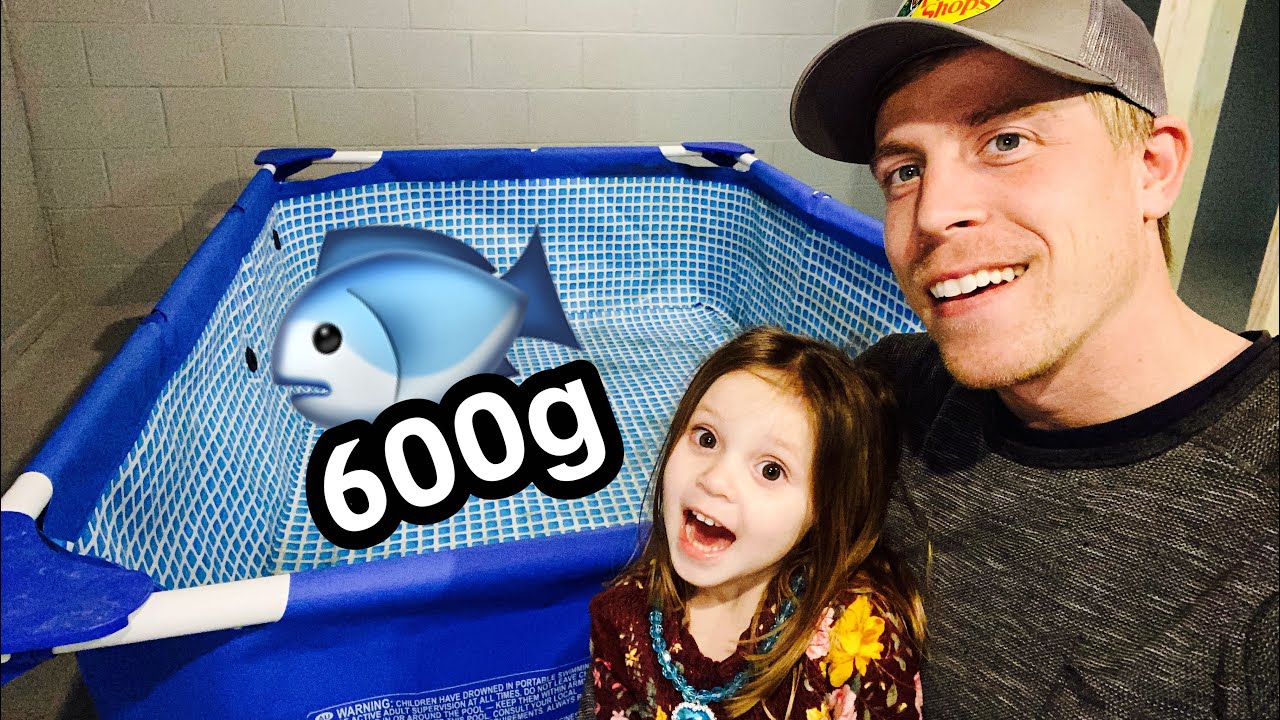 My Pool Pond Setup for Aquarium Fish - YouTube