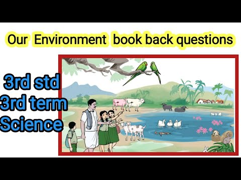 3rd standard unit 1 our environment book back questions third term ...
