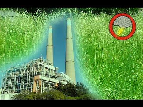 Growing Grass Makes Green Energy (Brainstorm Ep119) - YouTube