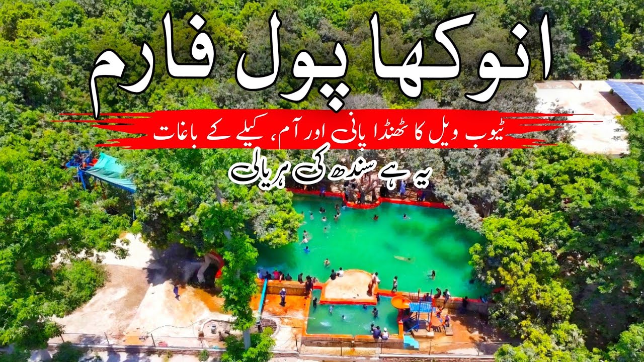 Hidden Paradise of Sindh | Mango orchards | Banana field and tube well ...