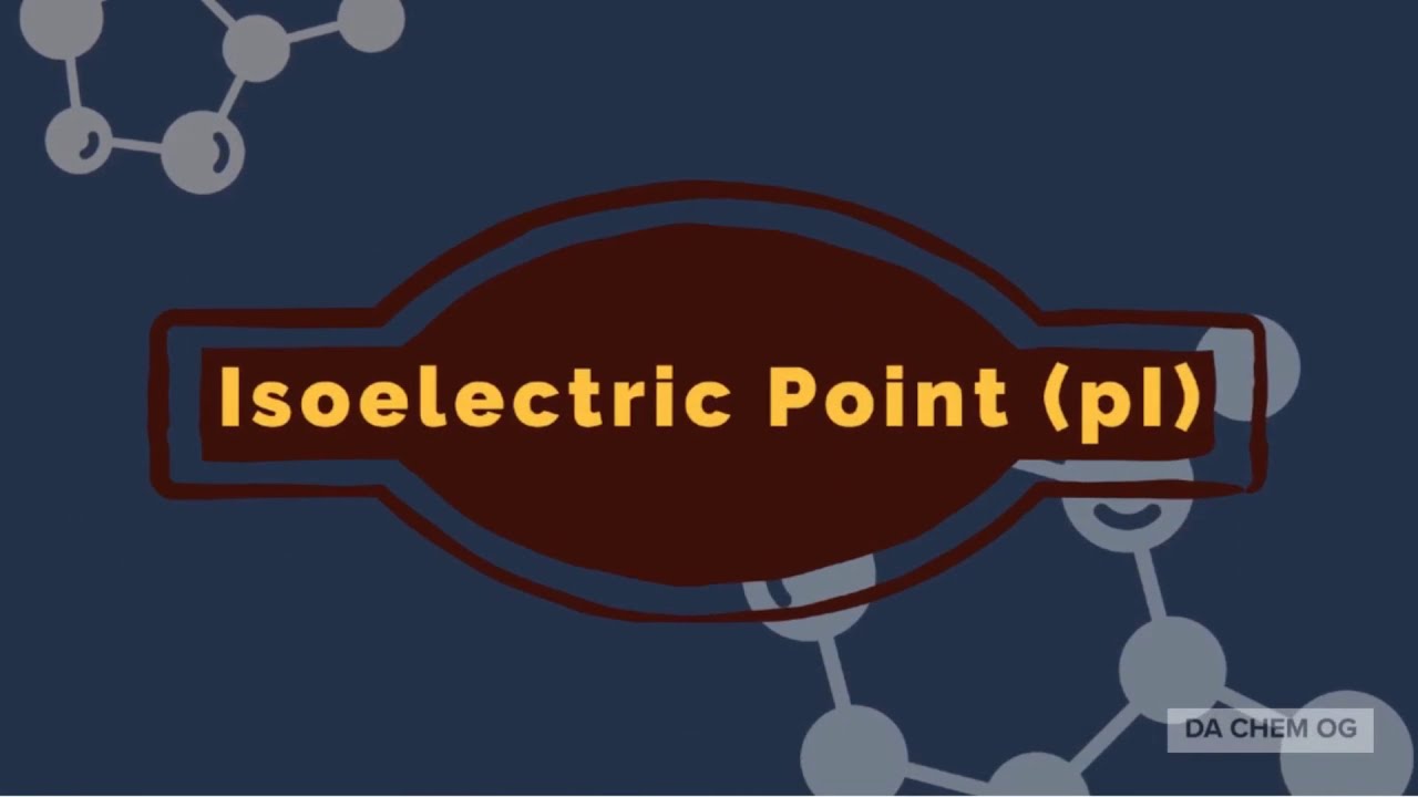 Isoelectric Point (pI) | Peptide Chains - YouTube