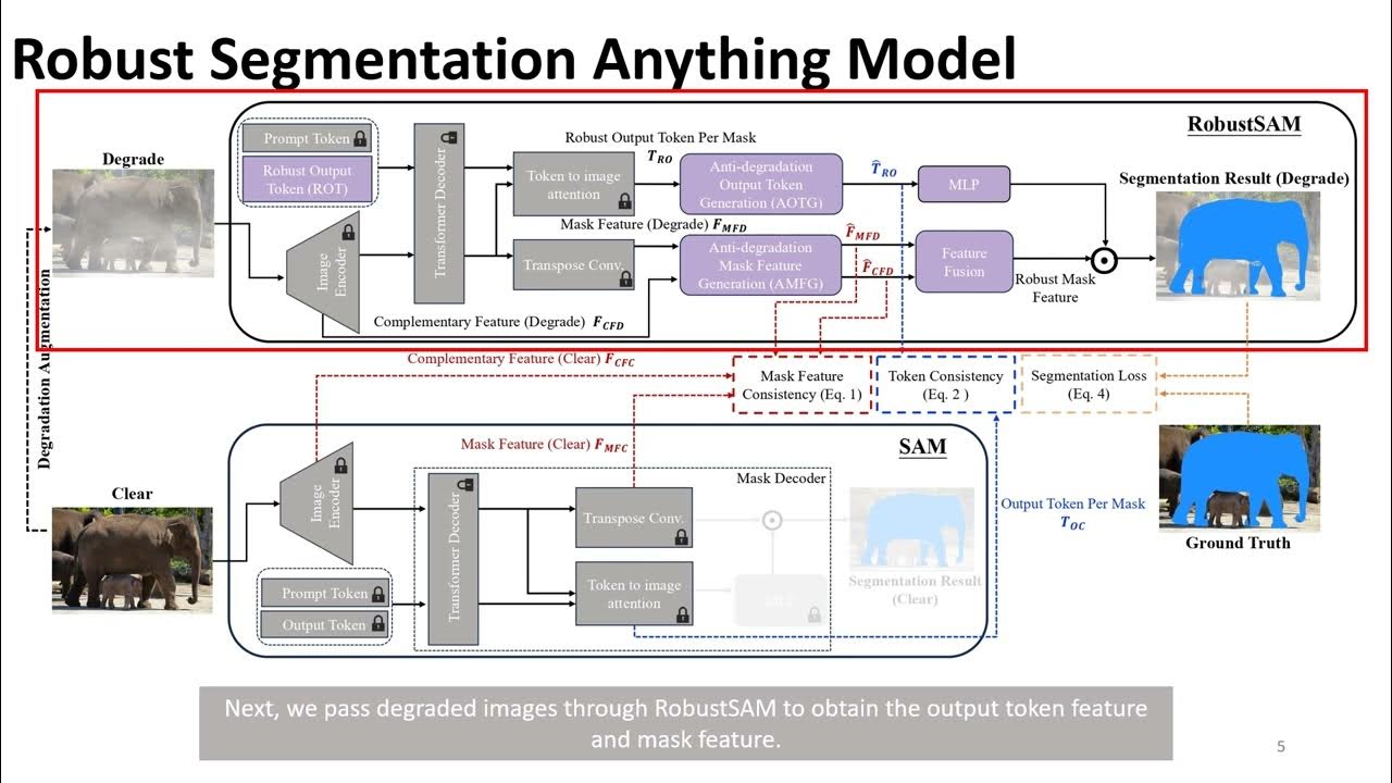 RobustSAM: Segment Anything Robustly on Degraded Images (CVPR 2024 Highlight) - YouTube