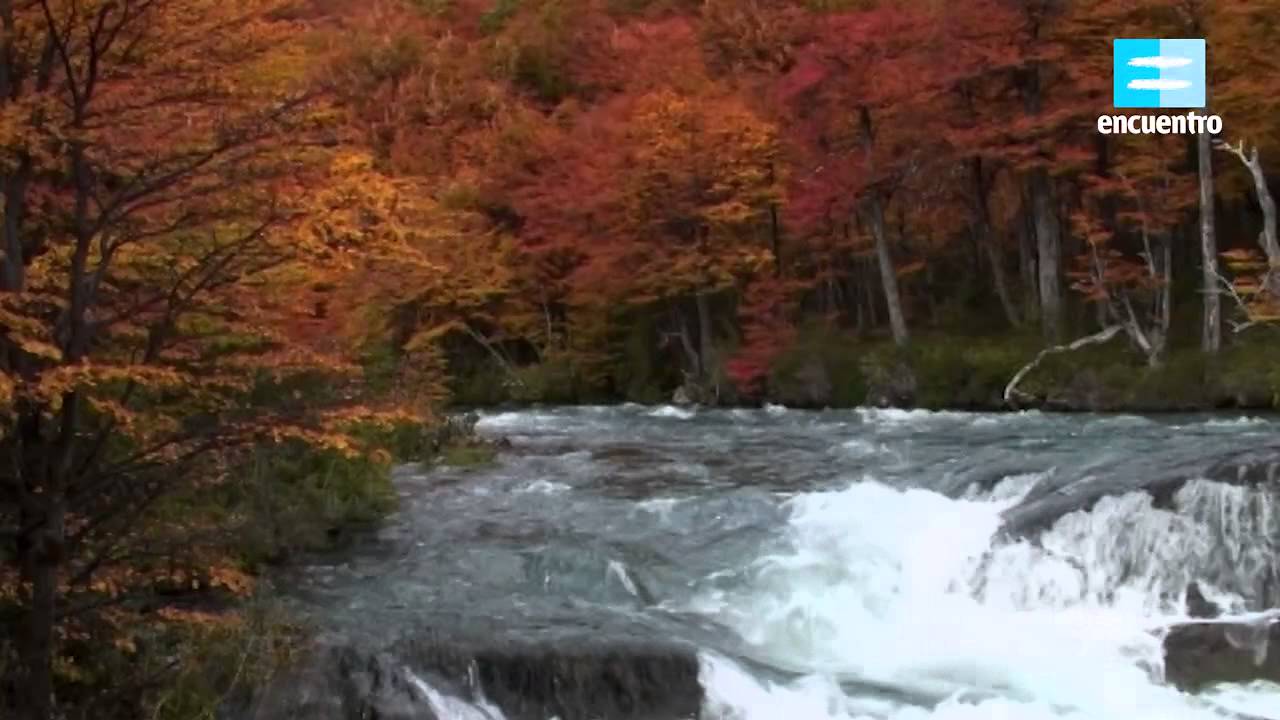 Cuatro estaciones en la Patagonia: Bosque de lengas, otoño - Canal ...