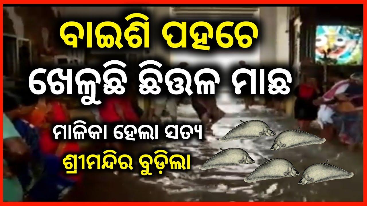 ବାଇଶି ପହଚେ,,ଖେଳୁଛି ଚିତ୍ତଲ ମାଛ // Malika Bachana Puri Jagannath Temple ...