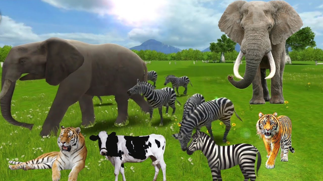 Animals moving in Jungle village | Elephant | Zebra | Elephant Zebra ...