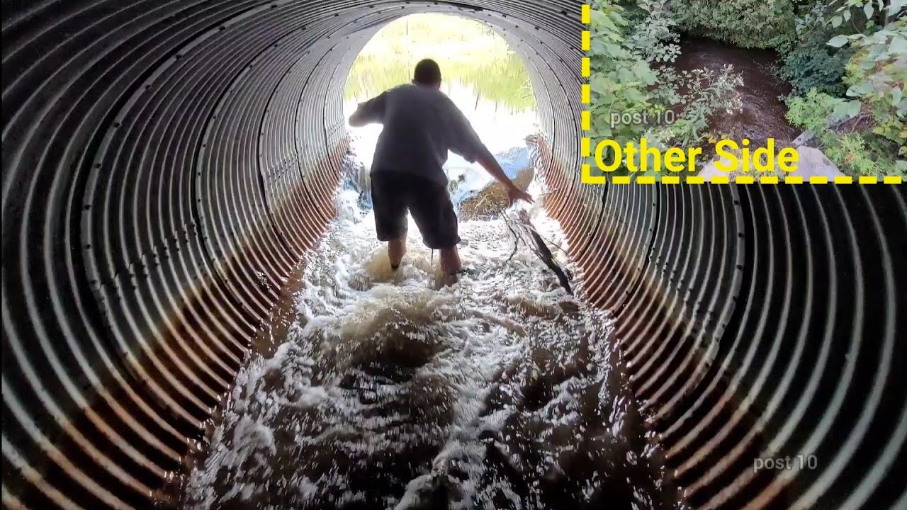 Removing A Big Beaver Dam In A Culvert. Unclogging - YouTube
