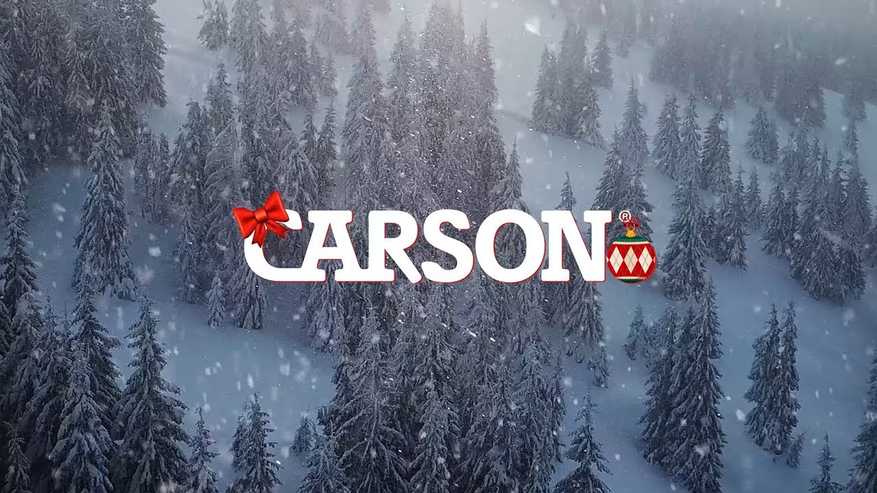 Discover Carson's Holiday Highlights! Discover our top gifts for ...