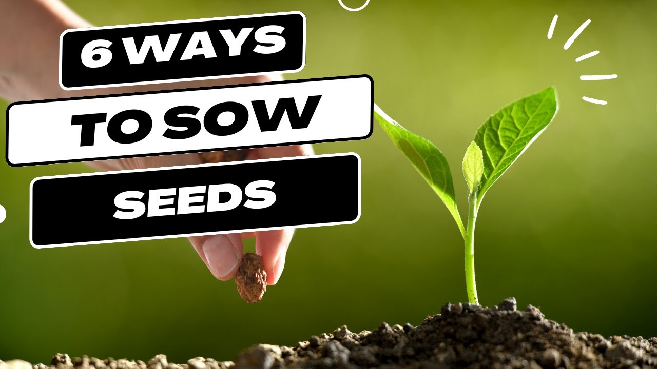 Master the Art: 6 Ways of Sowing Seeds - YouTube