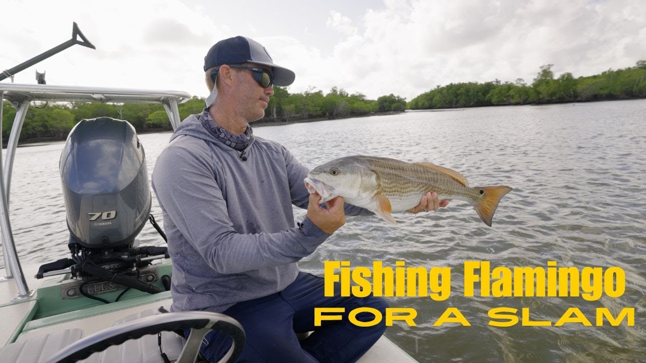The Flamingo Slam! Nonstop Action on Artificials! Snook, Tarpon ...