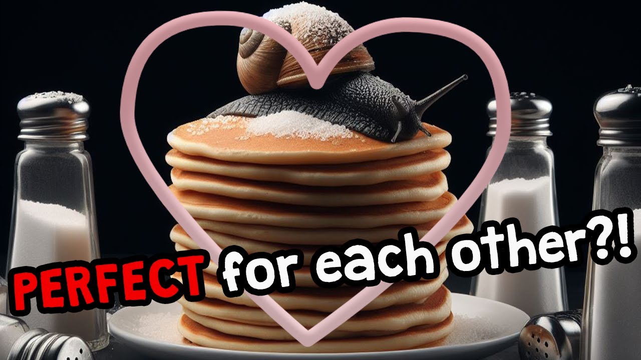 Angry Slug & Salvopancakes Should Be Friends!! - YouTube