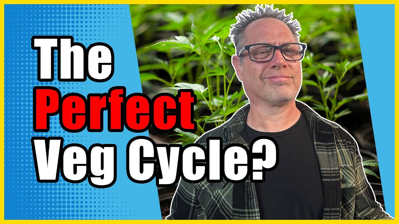 Home - Real Growers Inc