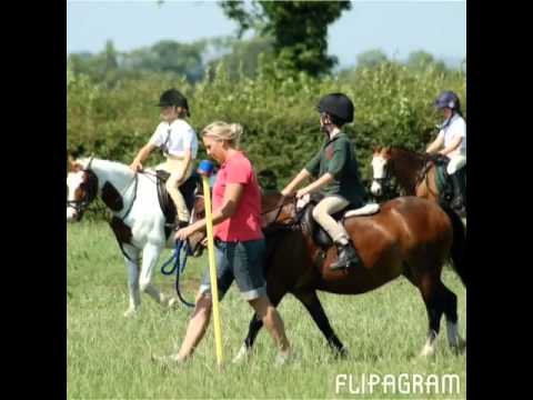 South Trent pony club