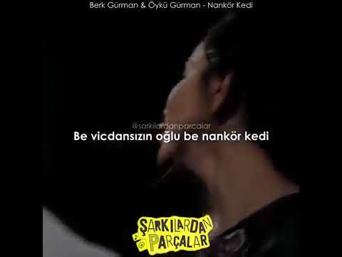 Oyku Gurman -Nankor kedi