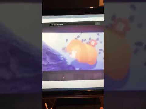 Brother bear 2 raccoon scene - YouTube