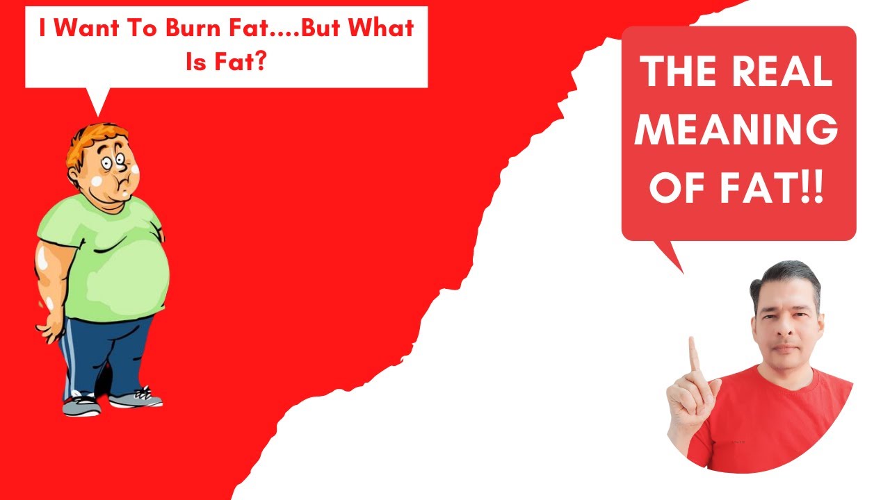 The Real Meaning of fat - How do we store fat - How to burn fat ...