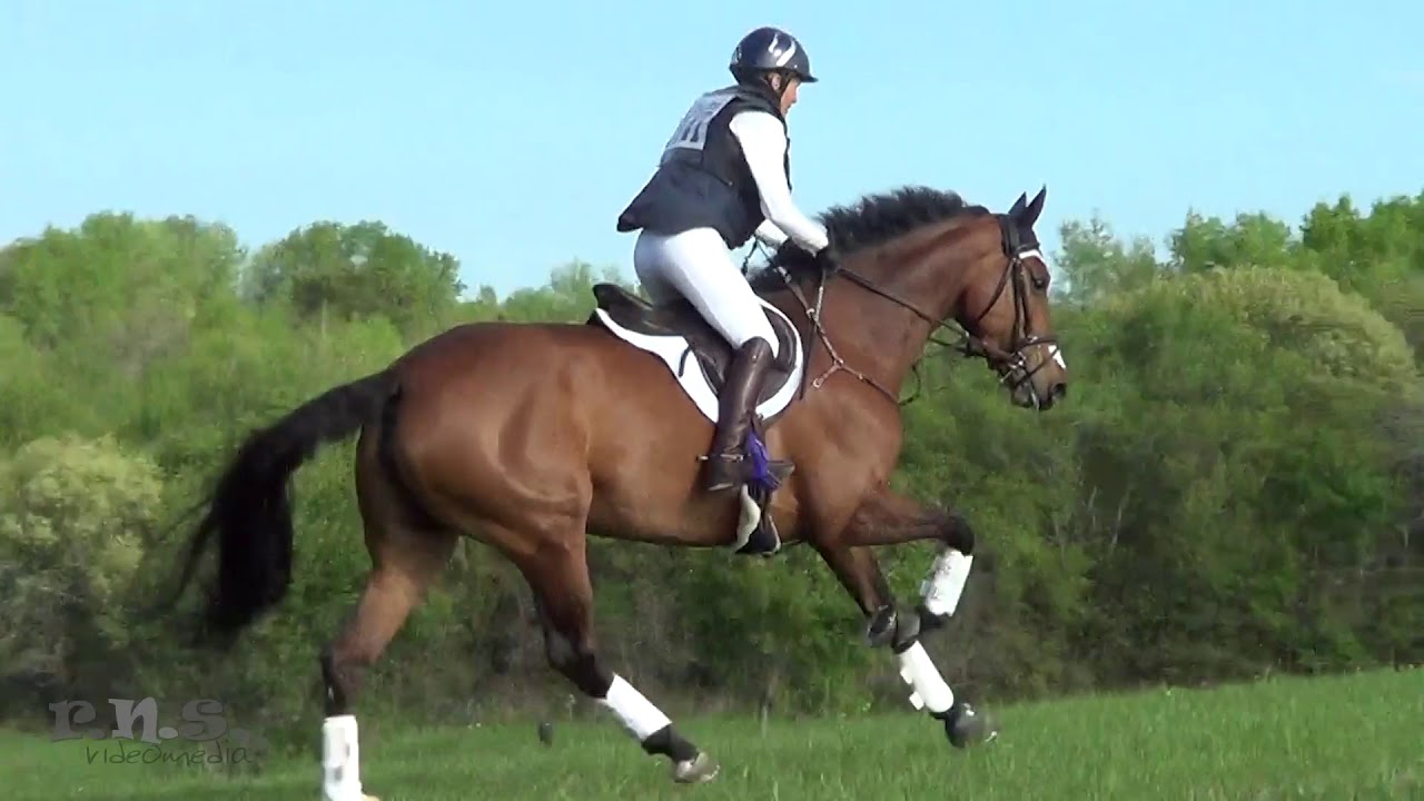 Angela Bowles & Rocktop Dreamer Texas Rose Horse Trials March 2018 ...