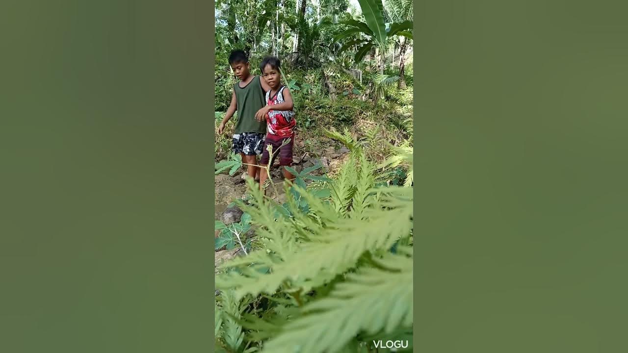 Kawatan og bunot 😂😂 - YouTube