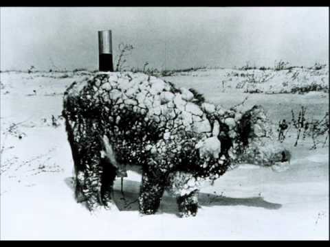 Arkona Tam Za Tumanami Там из tumanami Napalm Records