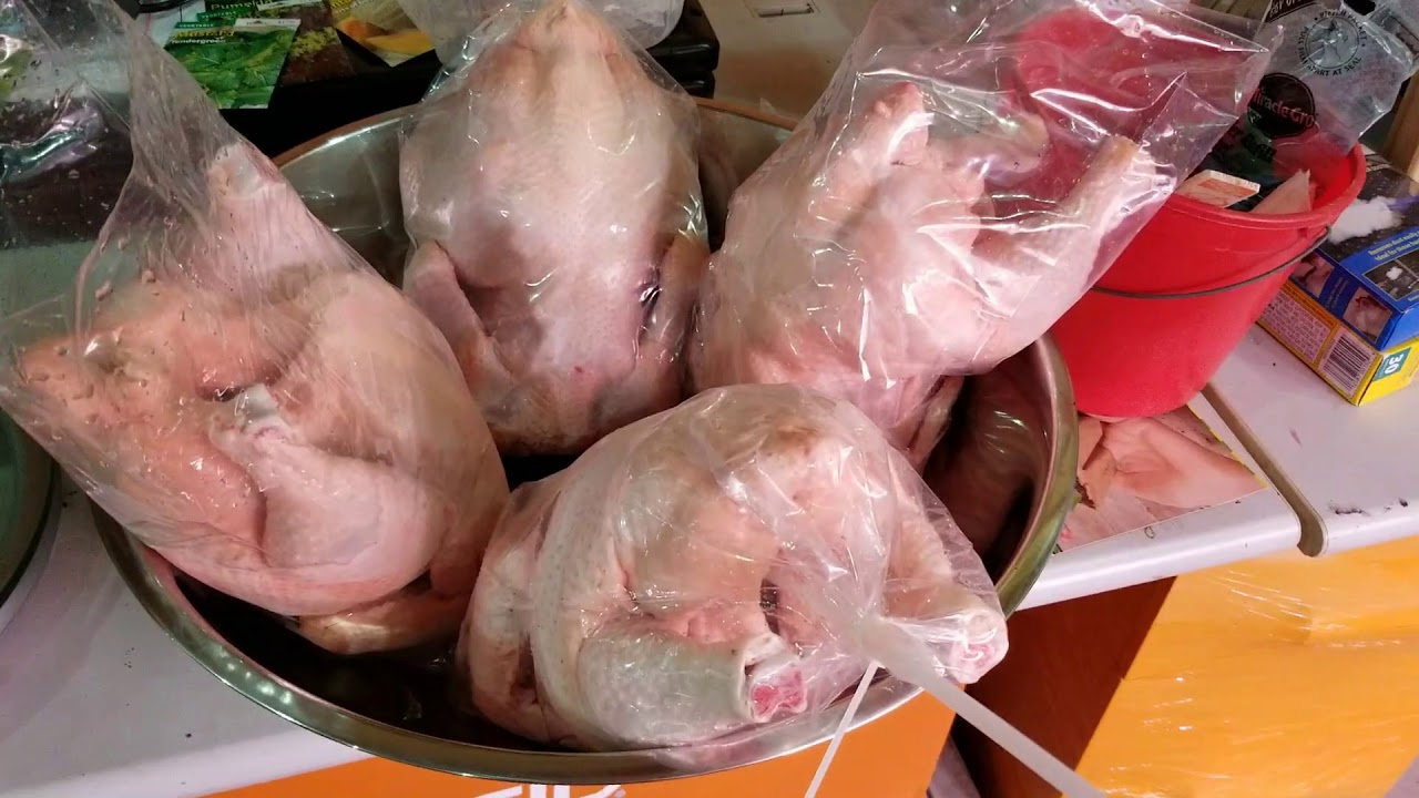 5-6-19 How I process my chickens Video of key steps - YouTube