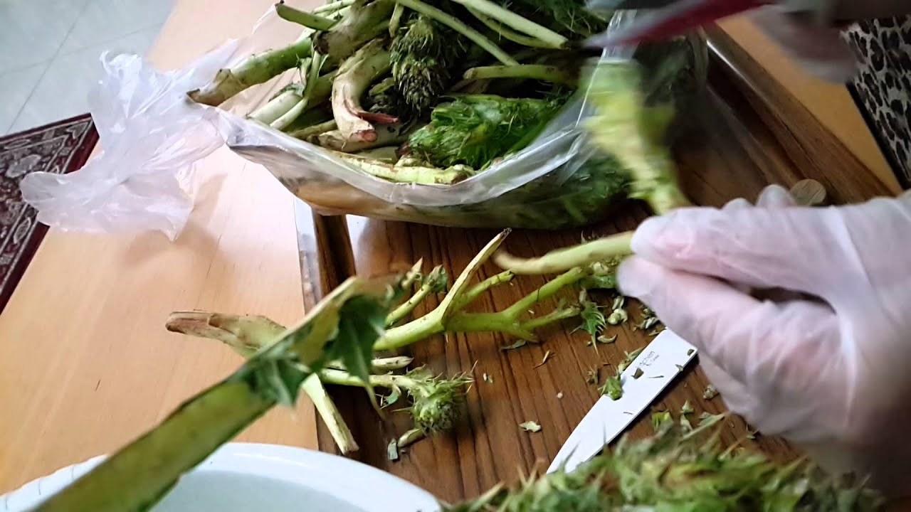 تنظيف العكوب Cleaning the "Akoub" 20.03.2016 - YouTube